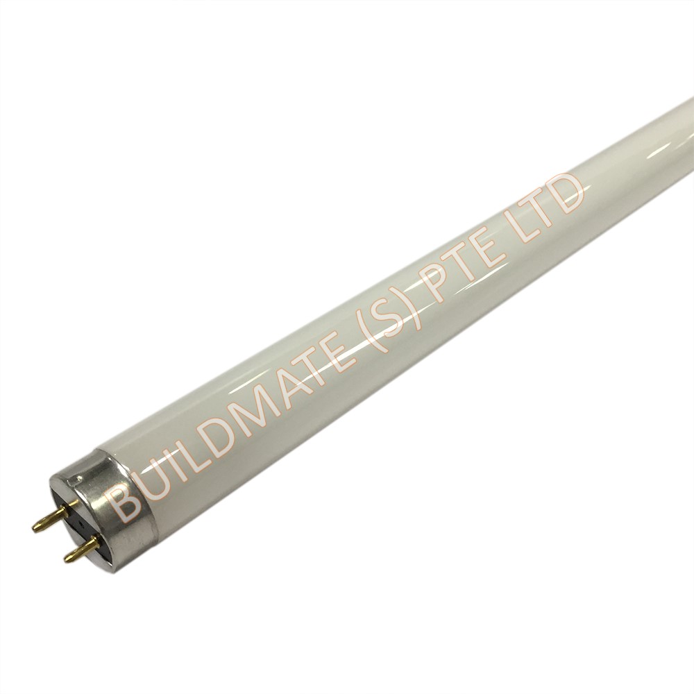 Fluorescent Tube - Buildmate